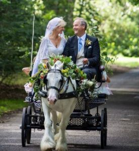 Who is Harry Herbert? Wiki, Biography, Net worth, Wife, Children ...