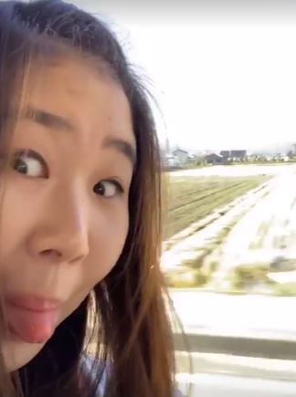 Who is Vivian Lu? Wiki, Biography, Age, Height, Boyfriend, Family, Net ...