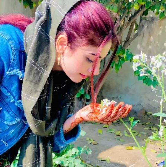 Syeda Dania Shah [Aamir Liaquat's Wife] Wiki, Biography, Age, Family ...