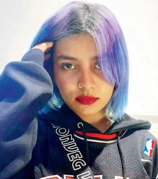 MC Stan (Rapper) Wiki, Biography, Net Worth, Age, Parents, Girlfriend ...