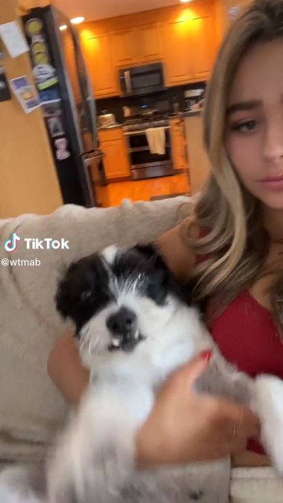 Who is Scar Girl? Wiki, Age, Height, Boyfriend, Family, Net Worth ...