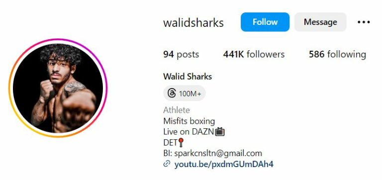 Walid Sharks Wiki: Age, Height, Weight, Parents, Fight, Net Worth ...