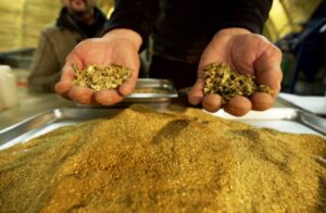 Bering Sea Gold Season 18 Release Date, Spoilers, Plot, Cast, How To ...