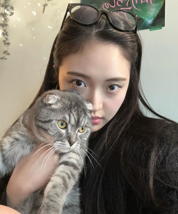 Who Is Choi Gyu Ri? Wiki, Husband, Parents, Age, Height, Ethnicity ...