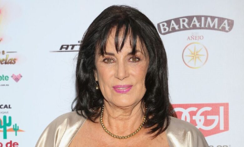 Leo Rojo (Helena Rojo's Son) Wiki, Biography, Age, Wife, Family, Height ...